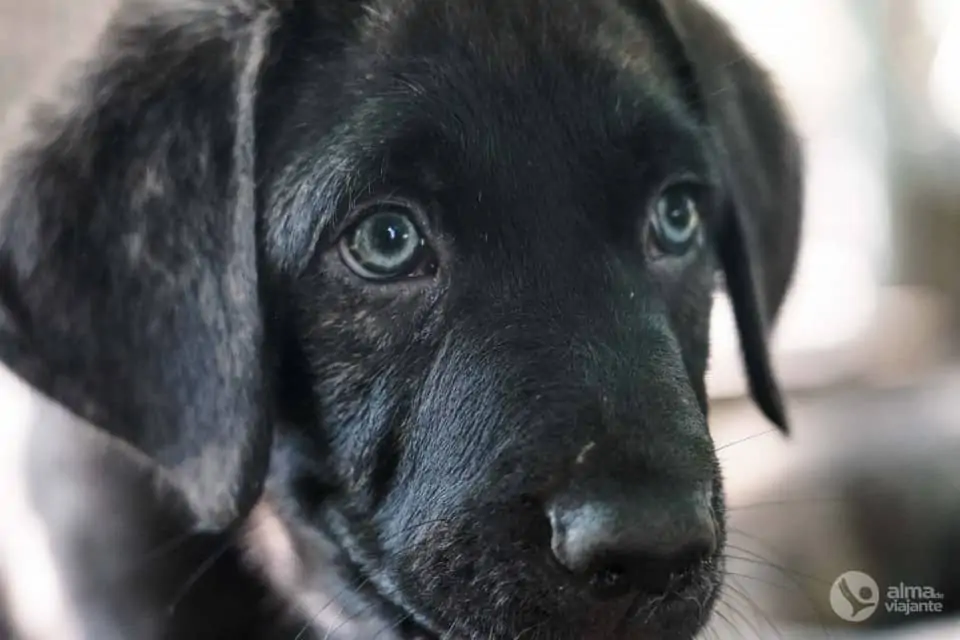 Castro Laboreiro: o que fazer na vila castreja