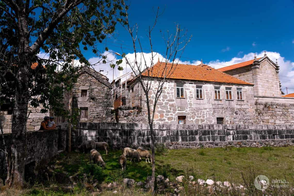 Castro Laboreiro: o que fazer na vila castreja