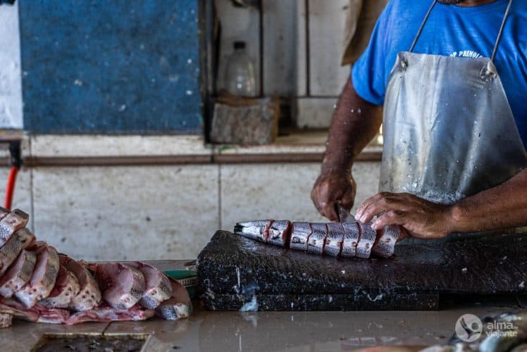 O que fazer em Porto Seguro, Bahia