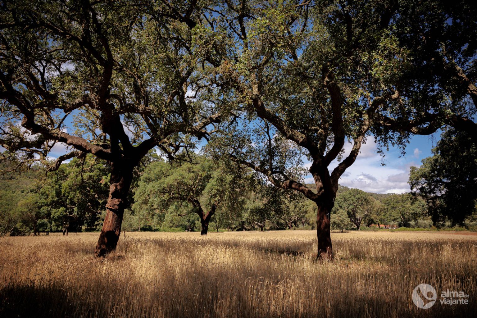 Roteiro no Alentejo Litoral e Baixo Alentejo (Portugal)