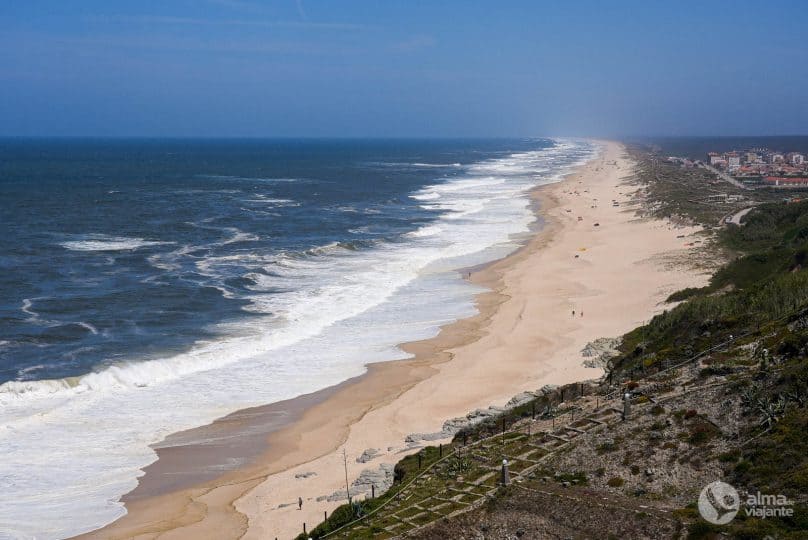 Figueira da Foz, o que visitar (coisas imperdíveis para ver e fazer)