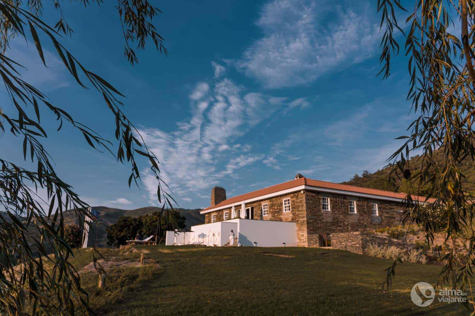 Vindimas no Douro, entre os bardos da Quinta de Ventozelo
